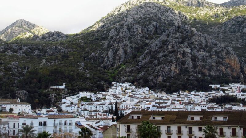 Cadiz, Jerez or El Puerto: White Towns of Andalusia Day Trip - An In-Depth Look at the Tour Experience
