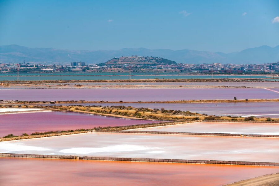 Cagliari: Conti Vecchi Salt Flats Train and Tour - Who Will Love It?