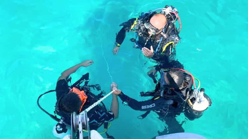 Cagliari: Diving in the Gulf of Angeles - Key Points