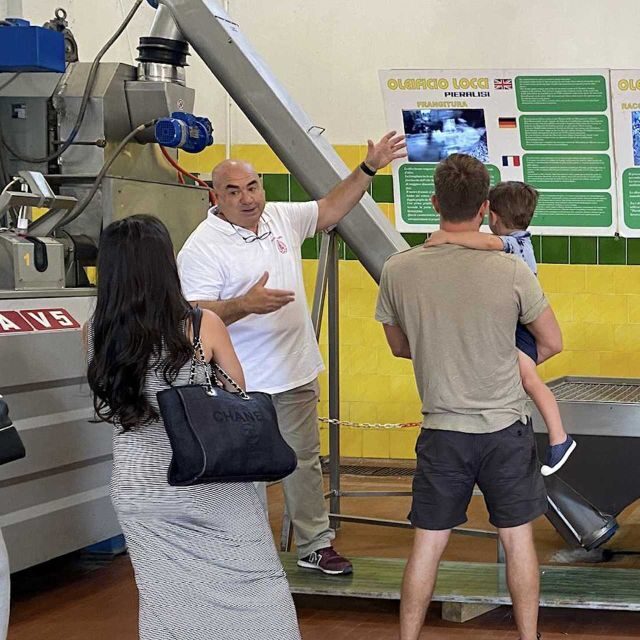 Cagliari: Exclusive Extra Virgin Olive Oil Tour at Museum - The Tasting and Educational Experience