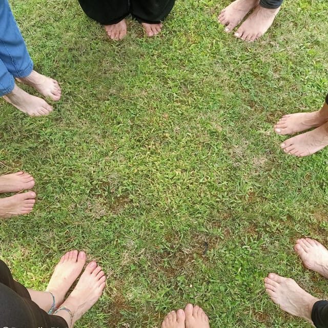 Cagliari: forest bathing at Sette Fratelli Park - Practical Tips for Participants