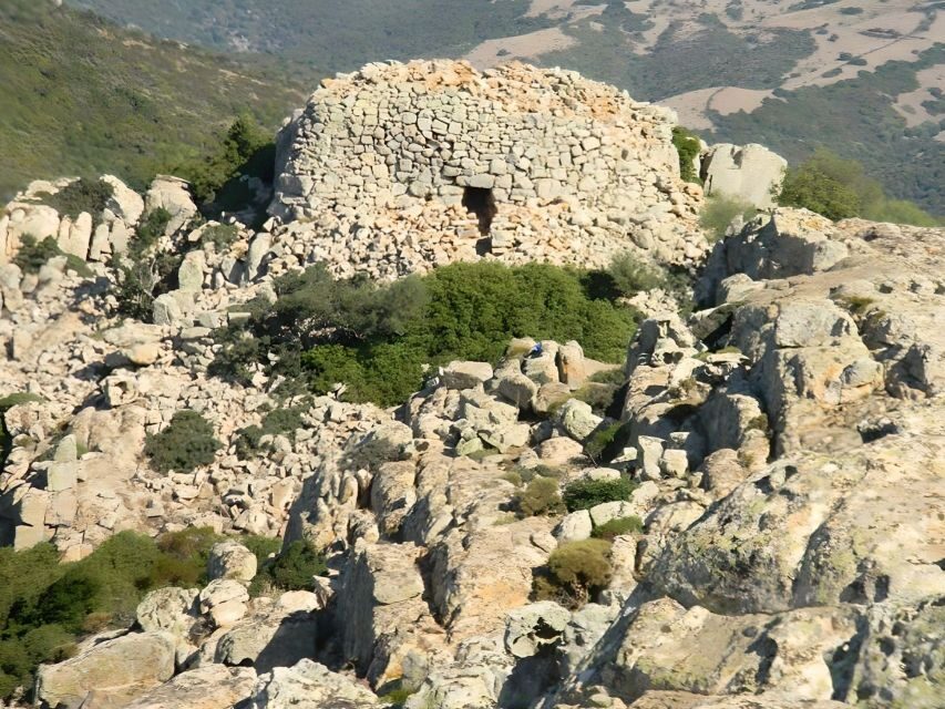 Cagliari: Nuraghe Adventure 3 hour Quad Tour from Domus - Who Should Consider This Tour?
