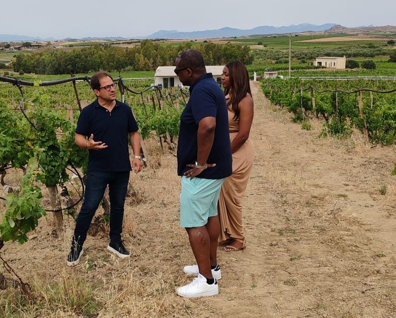 Cagliari: Wine and Olive oil Experience + Oil Mill Museum - What We Like and Consider