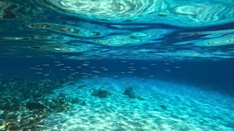 Cala Gonone: Snorkeling in the Orosei Gulf - Who Will Love This Tour?