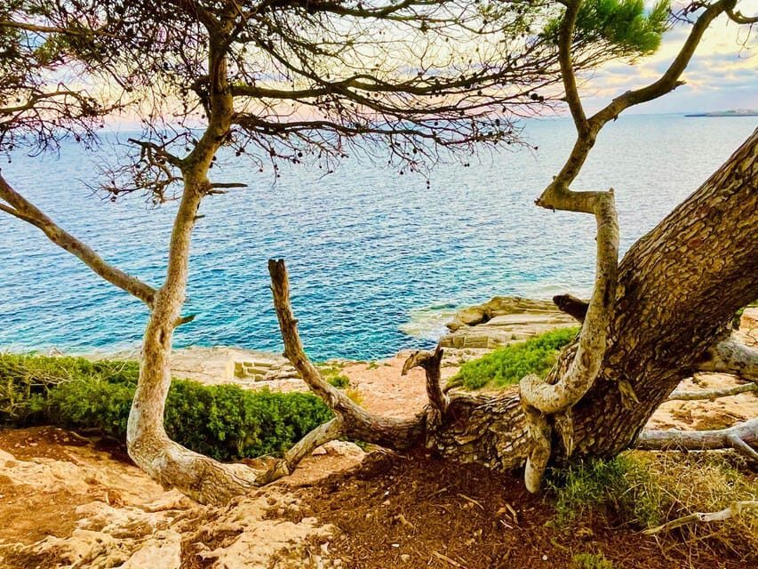 Cala Millor: real treasure hunt in natural reserve, fun walk - Exploring the Treasure Hunt Experience in Cala Millor