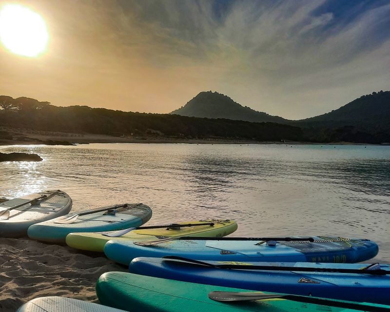 Cala Ratjada: Stand Up Paddle morning or afternoon Tour - Key Points