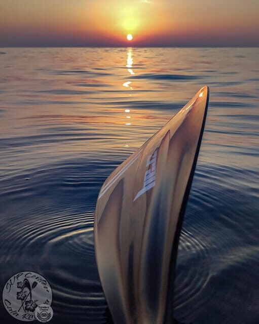 Cala Ratjada: Stand Up Paddle Sunrise Tour - The Magic of Sunrise in Cala Ratjada