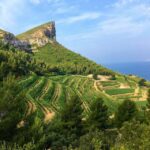 Calanques Of Cassis, the Village and Wine Tasting - Who Will Love This Tour?