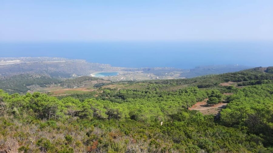 calice in cratere - The Sum Up: The Best of Sicily’s Nighttime Nature