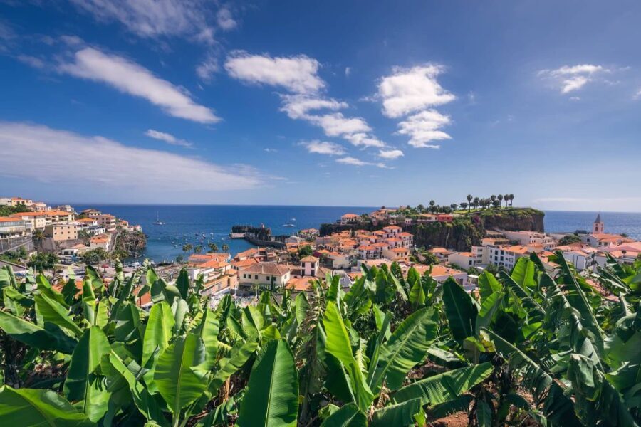 Câmara de Lobos: Private Fishing Village Tour by Tuk-Tuk - The Sum Up