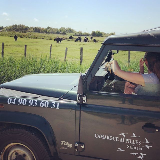 Camargue: Safari from Saintes-Maries-de-la-Mer - Key Points