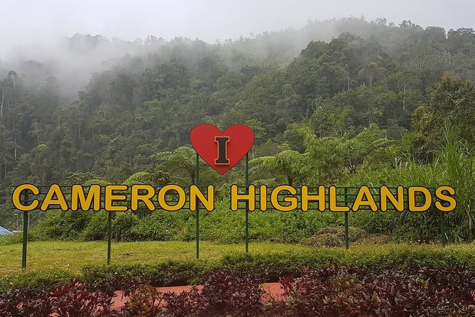 Cameron Highlands Amazing Day Trip Tour with Local Lunch - Exploring the Cameron Highlands Day Trip: A Practical Guide