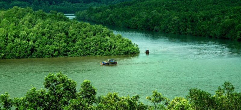 Can Gio: Discovery Vam Sat EcoPark - Can Gio Island Day Trip - Key Points