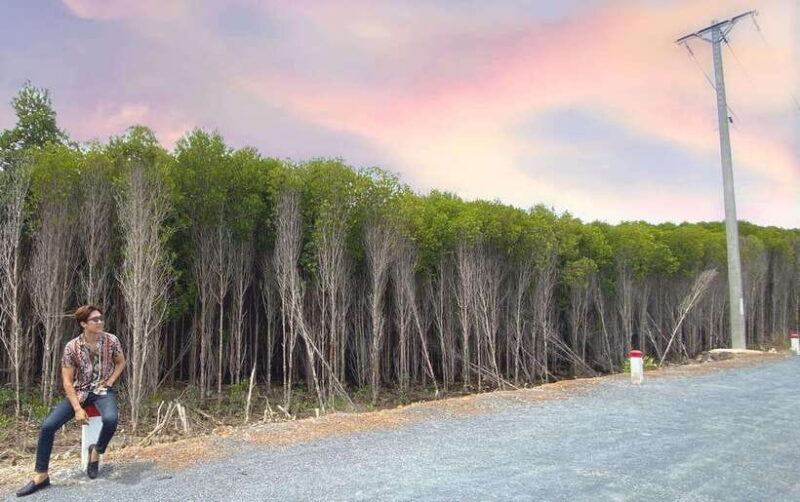 Can Gio Mangrove, Thanh An Island, Vung Tau City 2 Days Tour - Key Points