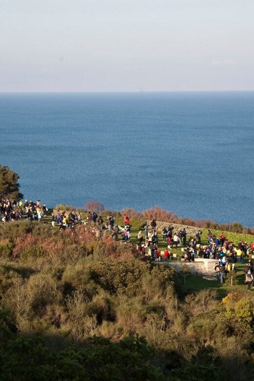 Canakkale: 6-Hour Gallipoli Tour with Lunch - The Practicalities: What You Need to Know