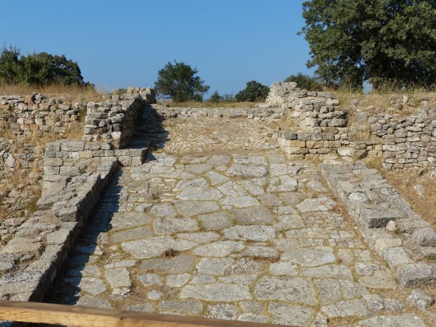 Canakkale: Half-Day Troy Tour - Practical Details and Tips