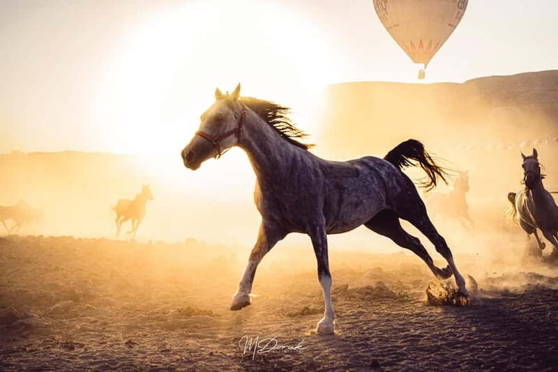 Cappadocia: Fascinating Horse Tour in Göreme Valleys - What to Expect from the Tour