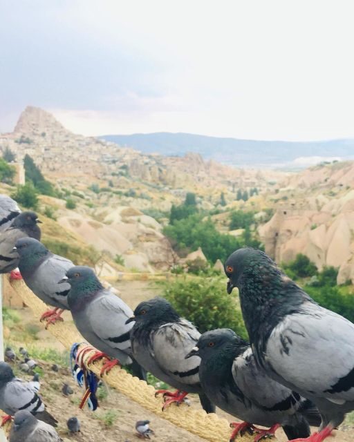 Cappadocia Green Tour - Who Should Consider the Green Tour?