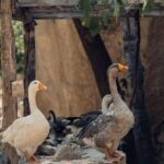 Cappadocia :Red Tour Entry Tickets and Lunch Included - The Value of This Tour