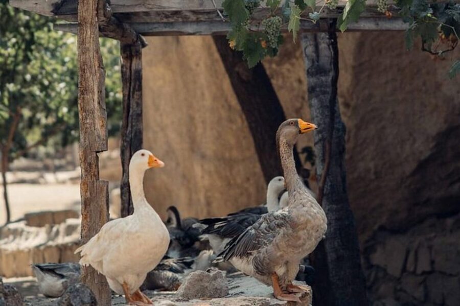 Cappadocia :Red Tour Entry Tickets and Lunch Included - The Value of This Tour