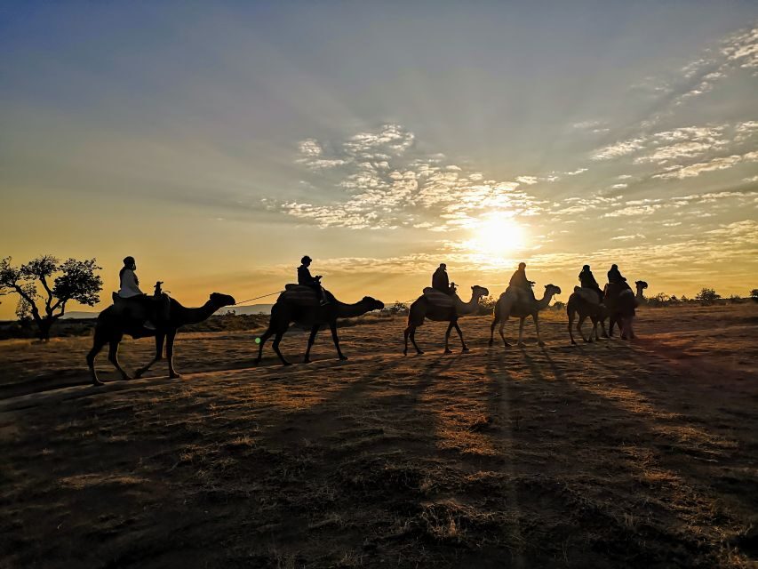 Cappadocia: Sunrise Camel Safari - The Sum Up: Is This Tour Worth It?