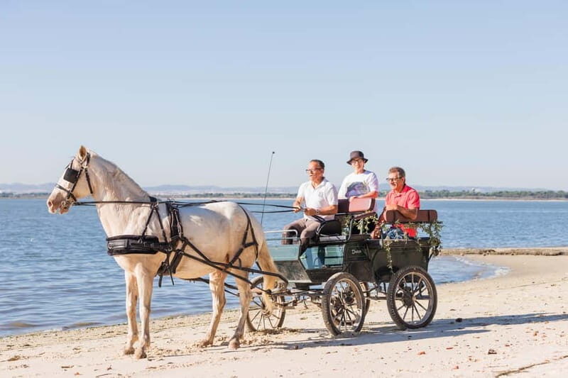 CARRIAGE Ride On The Beach (Rosário Beach) - The Itinerary Breakdown