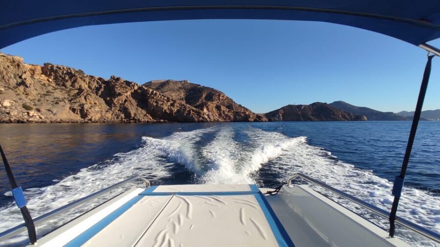 Cartagena: Guided tour by boat to the Isla de las Palomas - Is This Tour Right for You?
