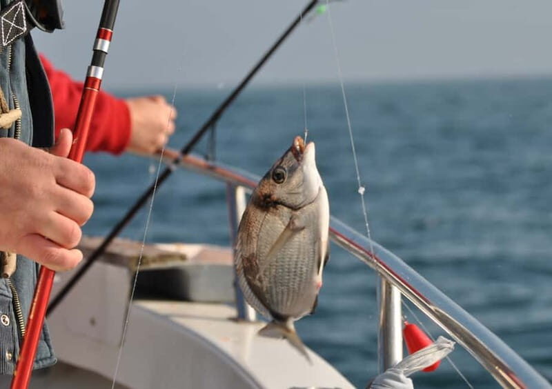 Cascais: Family Fishing - Deep Dive into the Experience