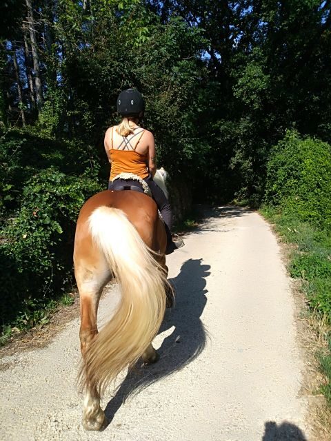 Casentino: Horseback Riding Tour with Verna Sanctuary View - What Makes This Horseback Tour Stand Out