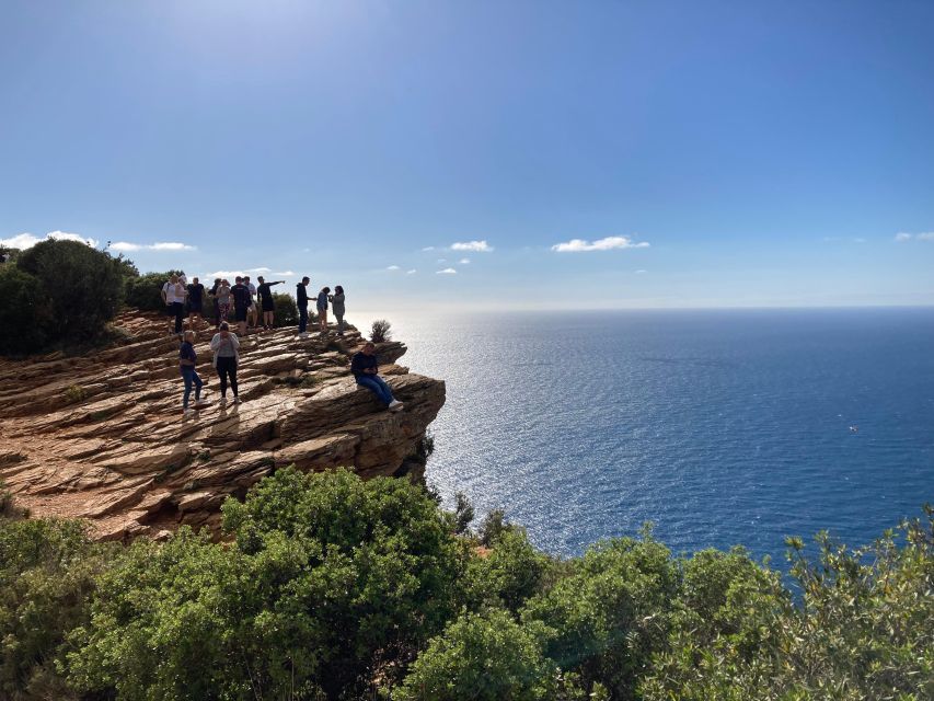 Cassis, Calanque of Port Miou and Cap Canaille from Aix - Who Is This Tour Best For?