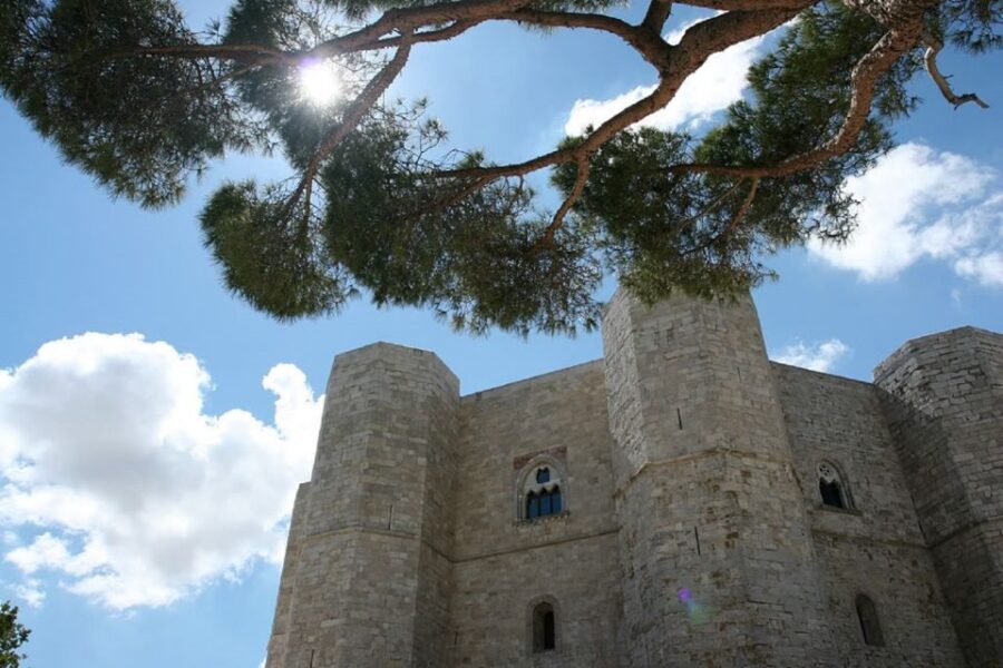 Castel del Monte Tour with transfer from Trani - What Sets This Tour Apart