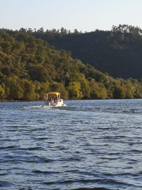 Castelo Branco: Portas de Ródão Natural Monument Boat Trip - What The Tour Offers in Practical Terms