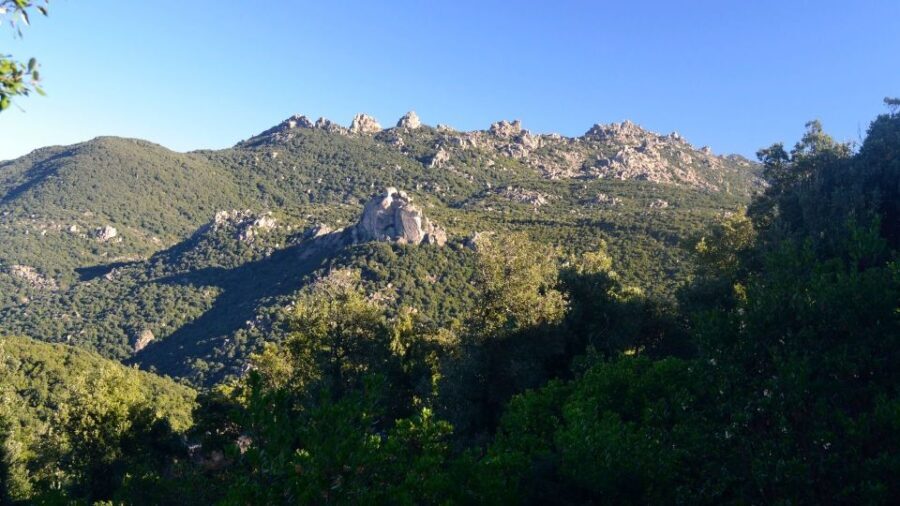 Castiadas: trekking in the S'Acqua Callenti forest - Who Should Consider This Tour?