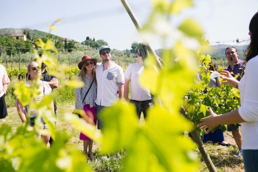 Castiglion Fiorentino: Buccelletti Wine Tour & Tasting - What to Expect: A Closer Look