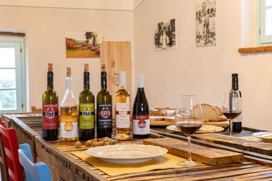 Castiglion Fiorentino: wine tasting with guided tour - The Guided Tour: Insider Access to the Vineyard