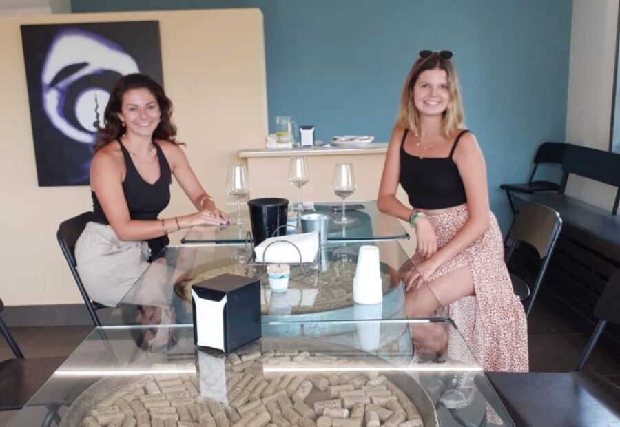 Catania: Guided Tour of Etna with Wine Tasting & Appetizers - Who Will Love This Tour?