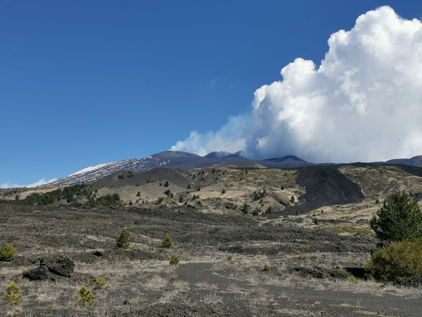 Catania: Mount Etna & Cyclopean Scuba Diving Experience - Who Is This Tour Best For?