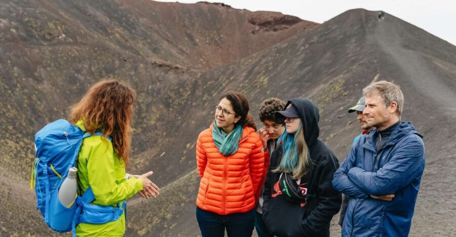Catania: Mount Etna Morning or Sunset Day Trip with Tasting - Who Will Love This Tour?