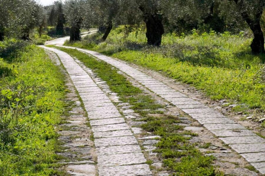 Catania: Pozzo di Gaspare Farm Guided Tour with Tastings - Staying Grounded in Tradition