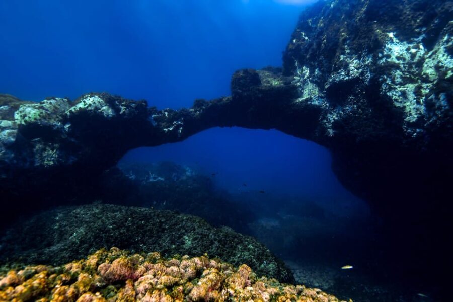 Catania: Scuba Diving Experience - The Value of This Experience