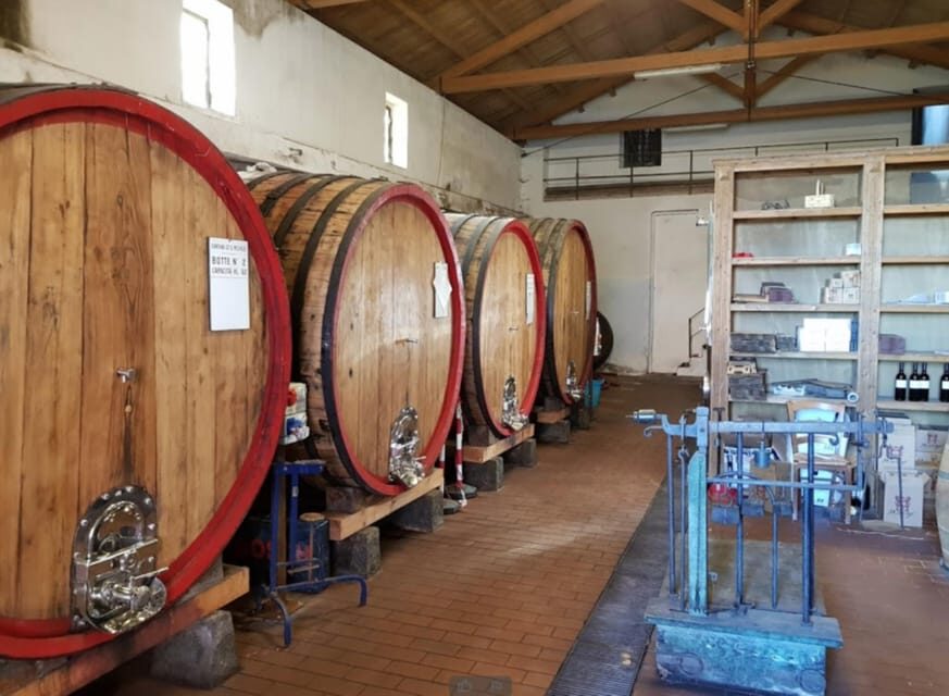 Catania: Wine Tour - The Value of the Experience
