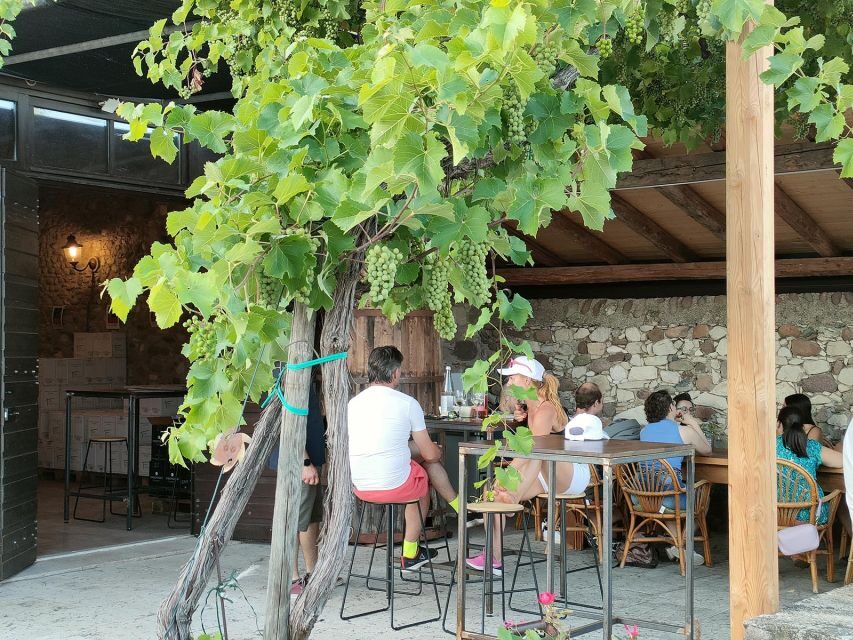 Cavaion: Lake Garda Wine & Food Tasting with Vineyard Tour - Exploring the Vineyard Experience
