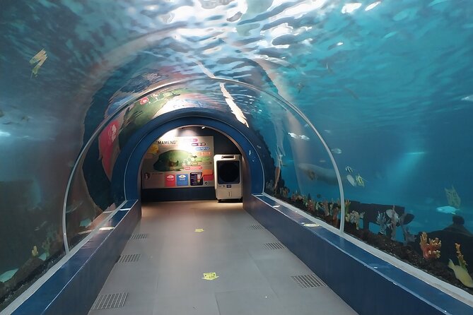 Cebu Ocean Park - Key Points for Your Visit to Cebu Ocean Park