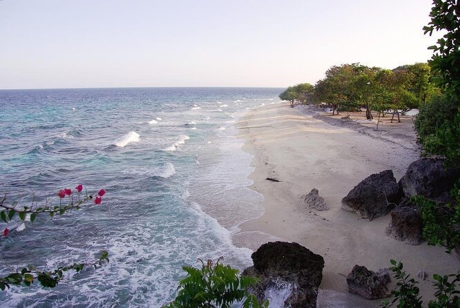 Cebu Oslob Whalesharks, Sumilon & Kawasan Waterfalls Tour - Introducing the Cebu Oslob Whalesharks, Sumilon & Kawasan Waterfalls Tour