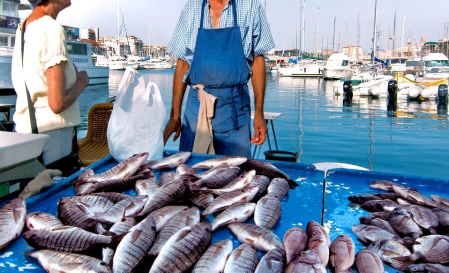 Cefalù: Market Tour and Meal at a Local's Home - Practical Details and Value