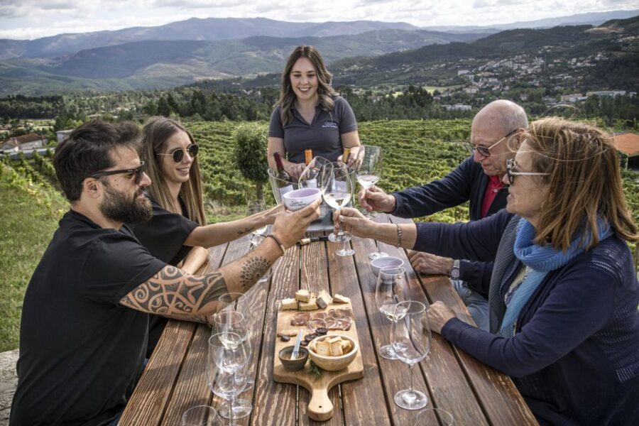 Celorico De Basto: Quinta de Santa Cristina Winery Tour - Who Would Love This Tour?