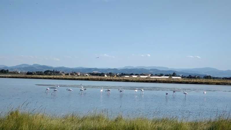 Cervia & Milano Marittima on APE CALESSINO vintage - Authenticity and Local Flavor