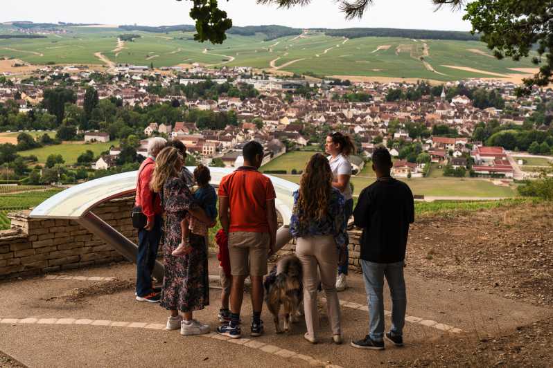 Chablis: Visit of the Grand Cru vineyard - Exploring the Chablis Grand Cru Vineyard: A Detailed Review