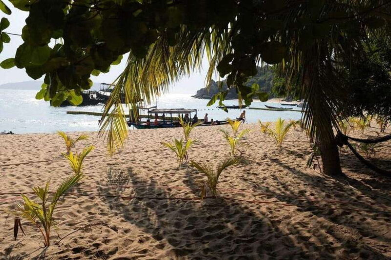 Cham Islands Snorkeling Tour by Speedboat : Hoi An/Da Nang - Key Points