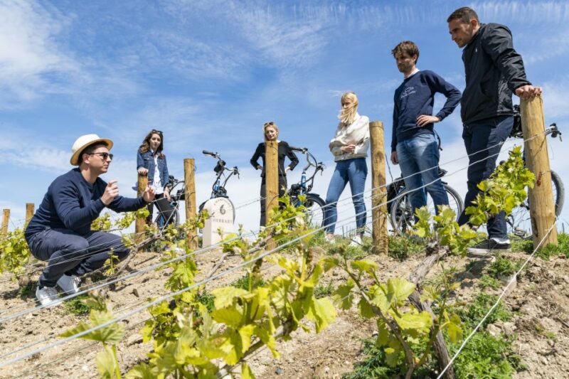 Champagne: E-Bike Champagne Day Tour with Tastings and Lunch - Exploring the Champagne Region on Two Wheels